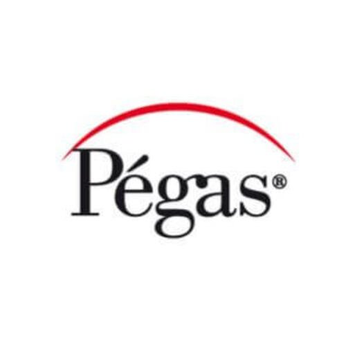 Pegas | eStakles.lt